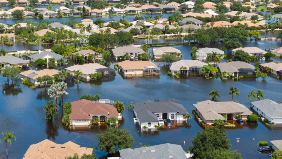 14 Florida Insurers Closed Over Half of Homeowner Damage Claims with ...